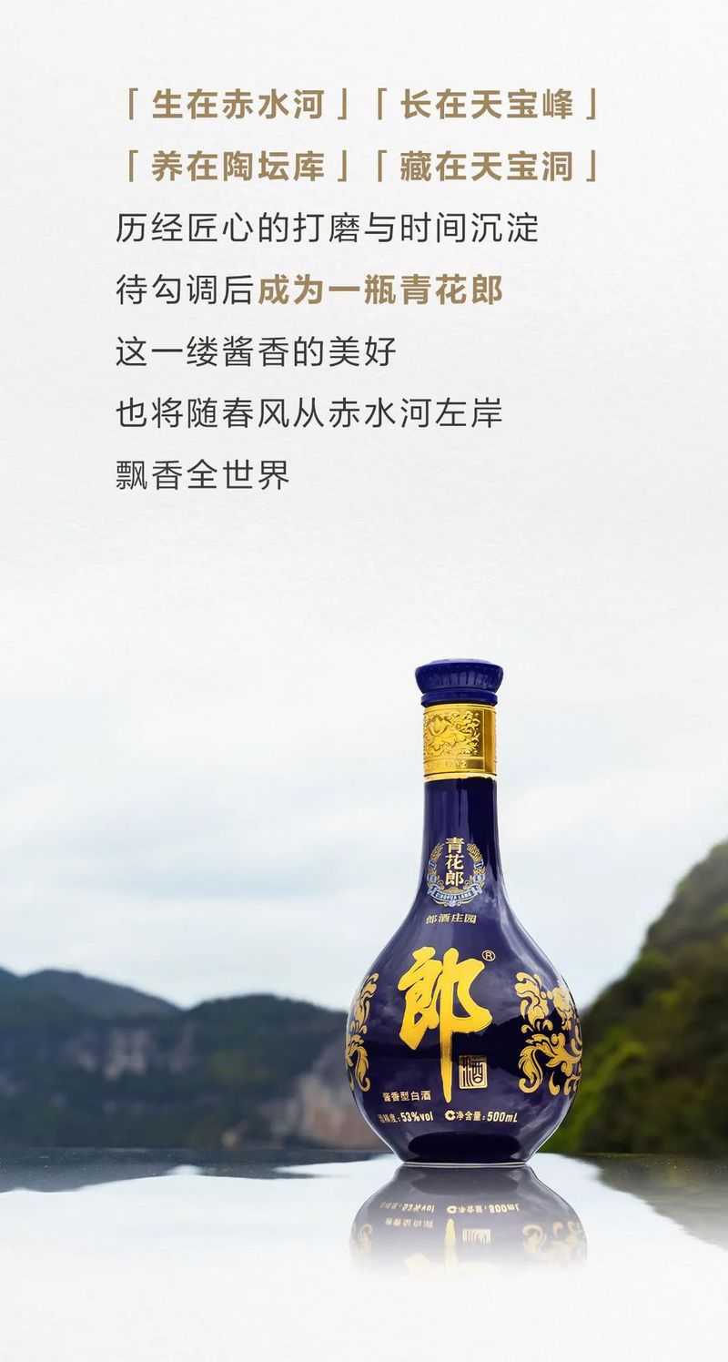 将明媚春光酿进美酒 郎酒「黄金轮次」 取酒 - 中国白酒金三角